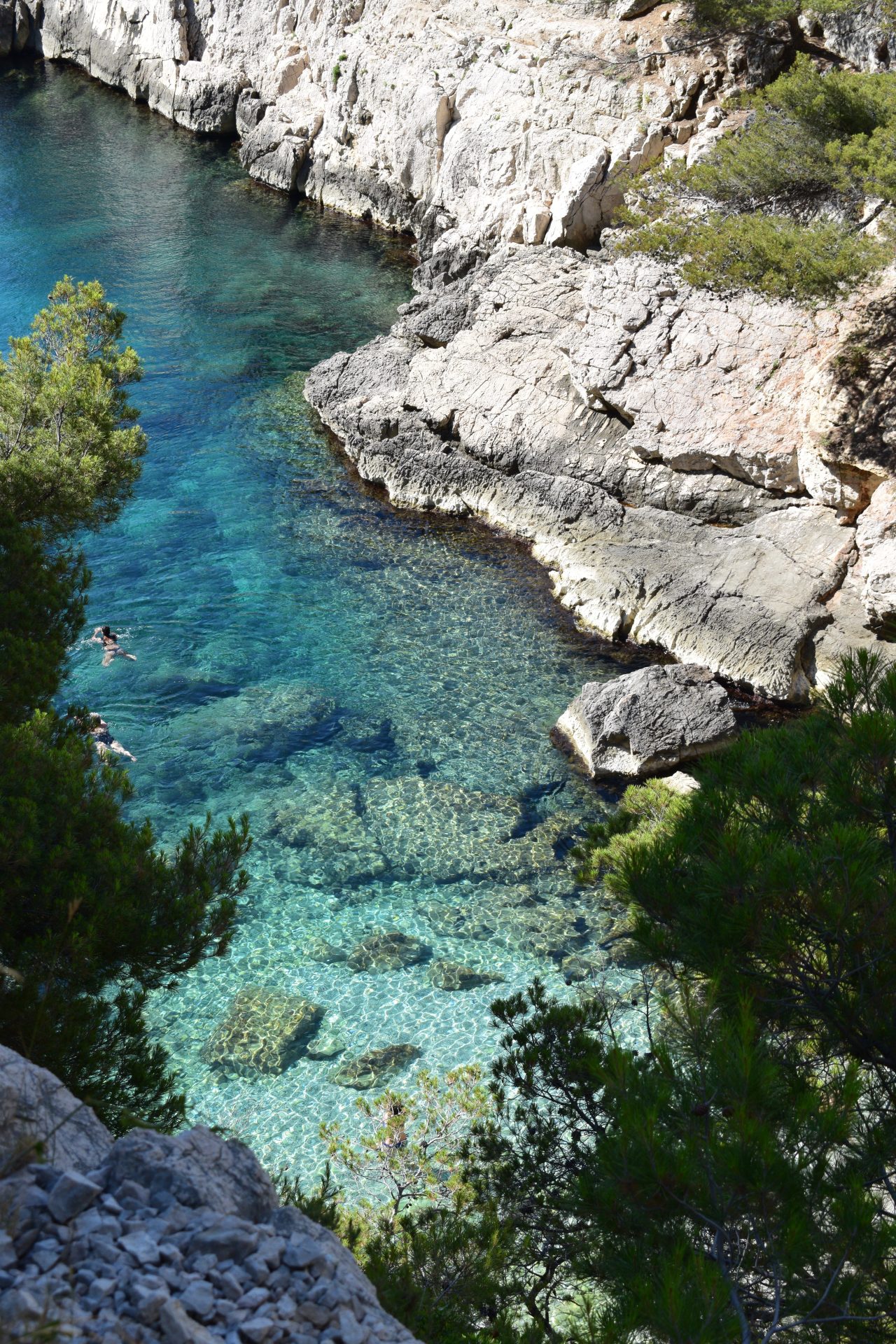 Top 10 Things to Do in Marseille: A Guide to the City's Best ...