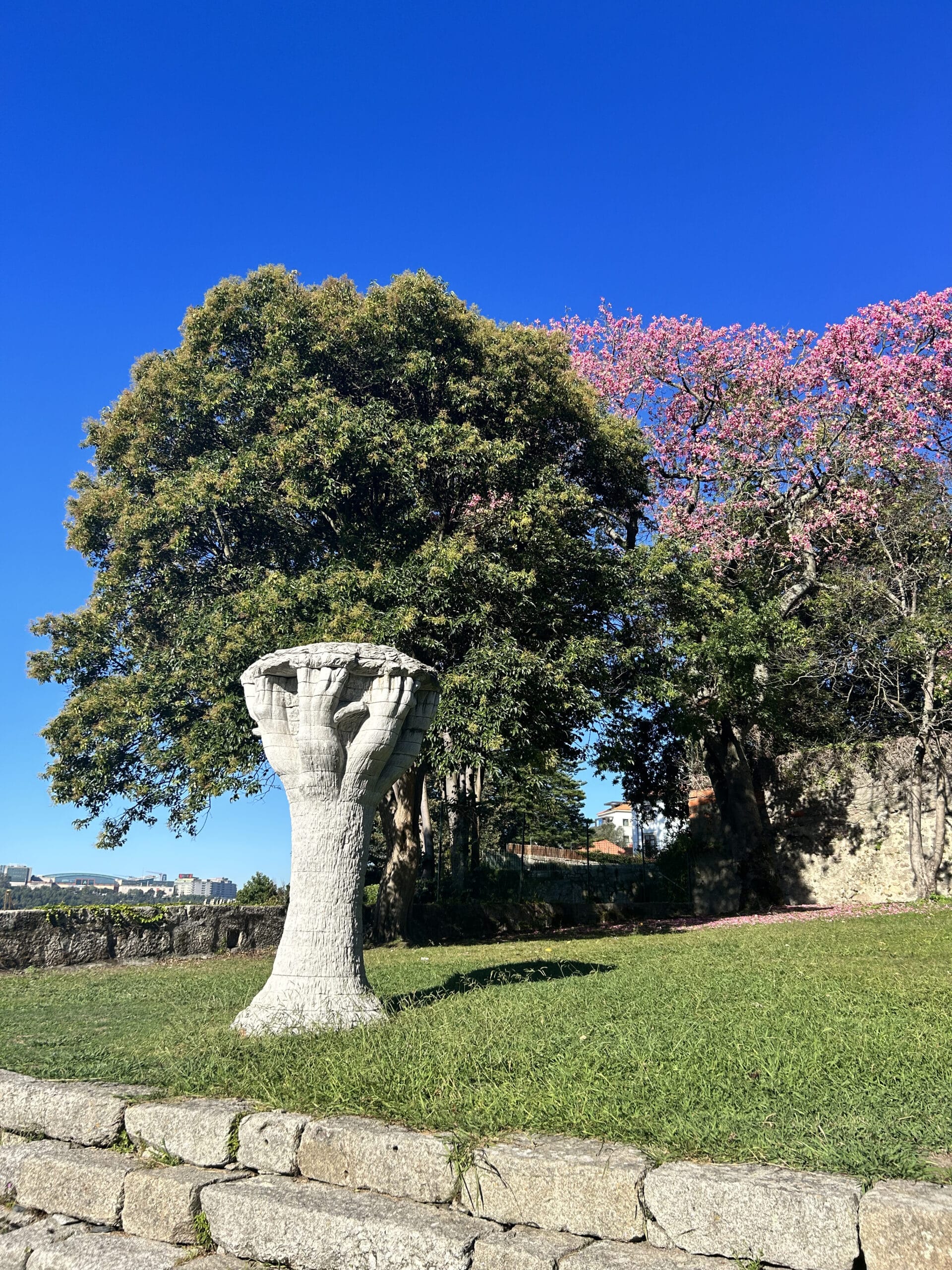Discover 5 Hidden Gems of Porto: A Local's Guide