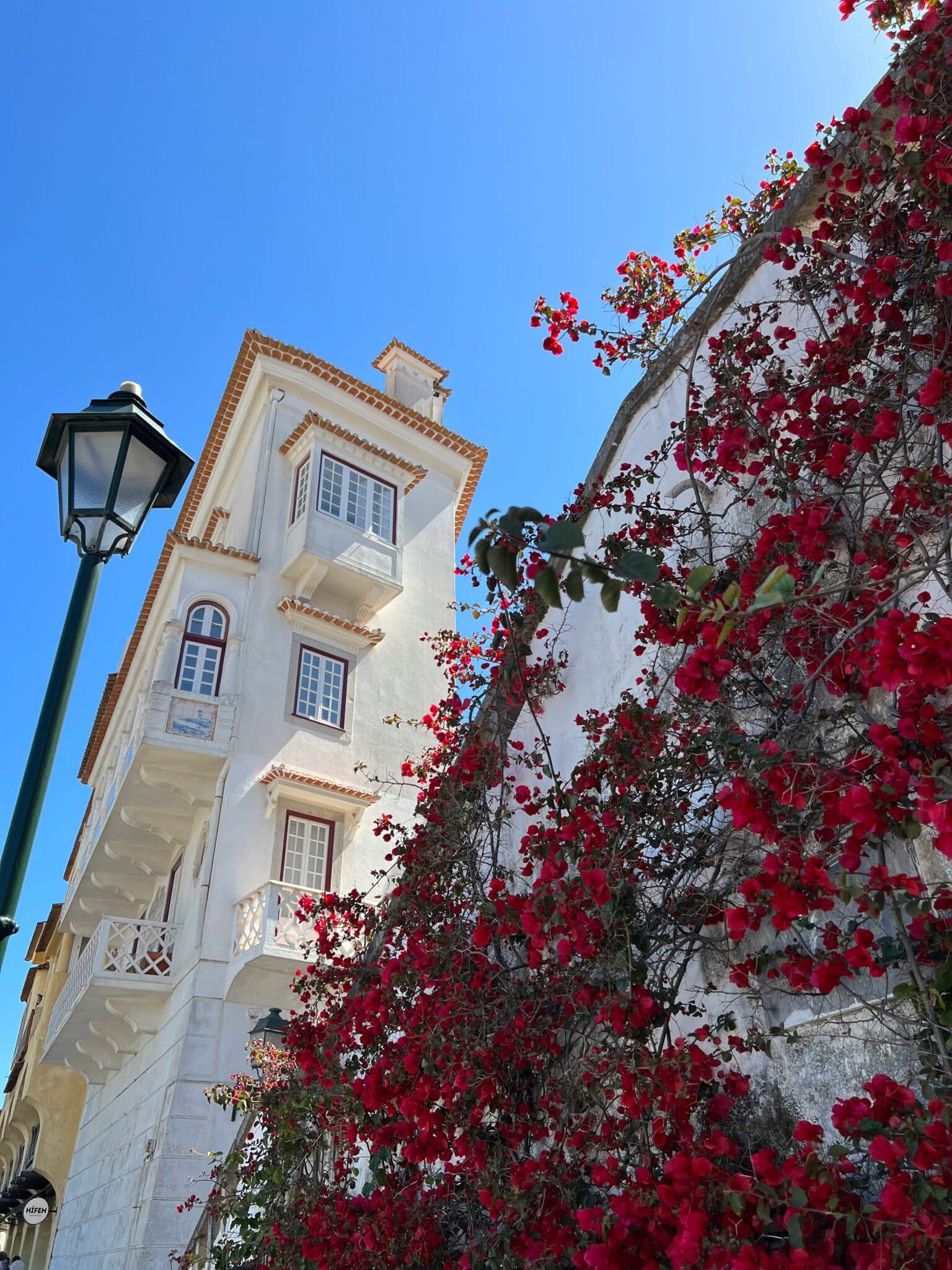 15 fun facts about Cascais: Explore this vibrant town!
